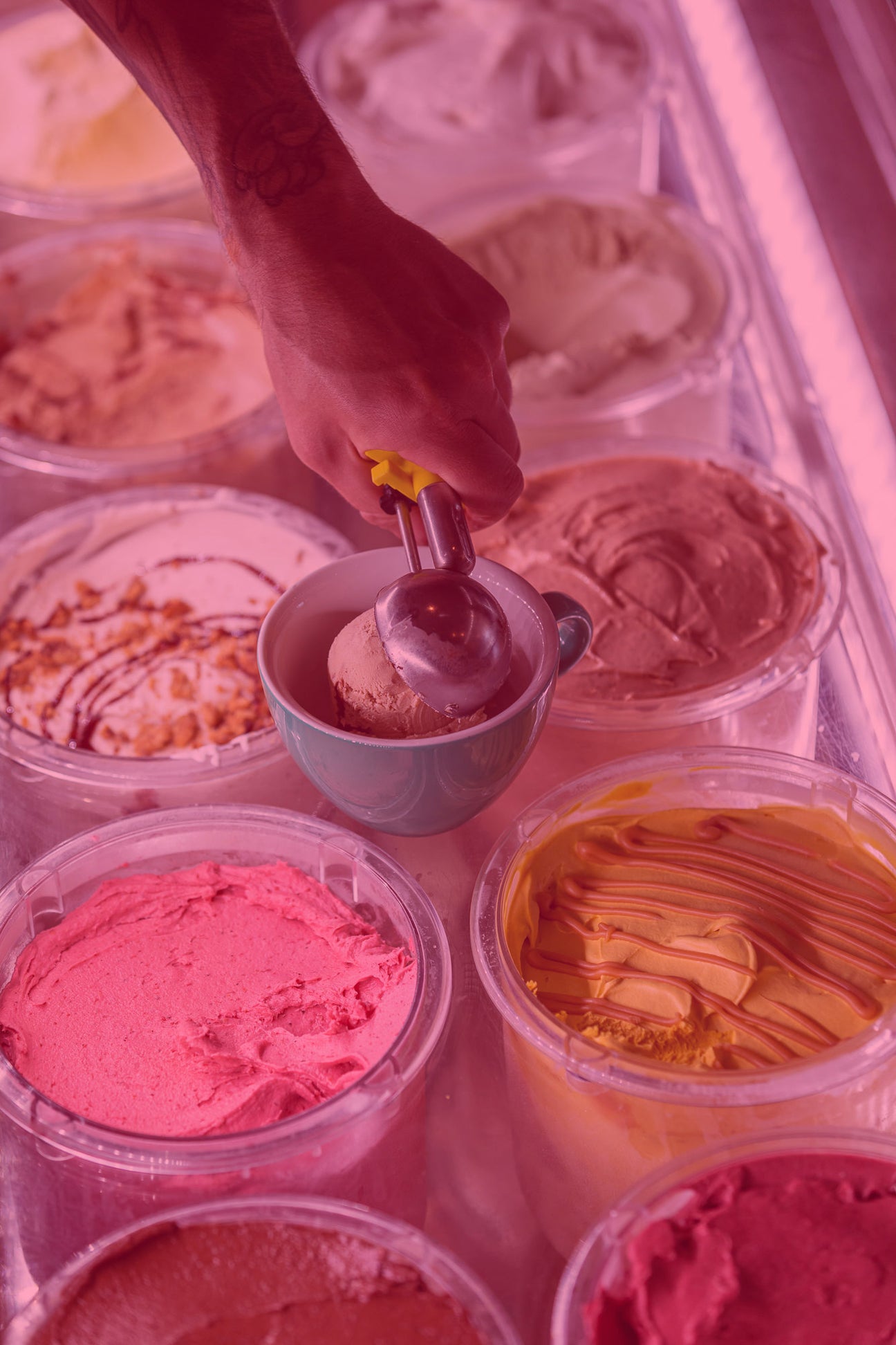 GELATO TASTING & TOURS – Death in Venice Gelato Co.